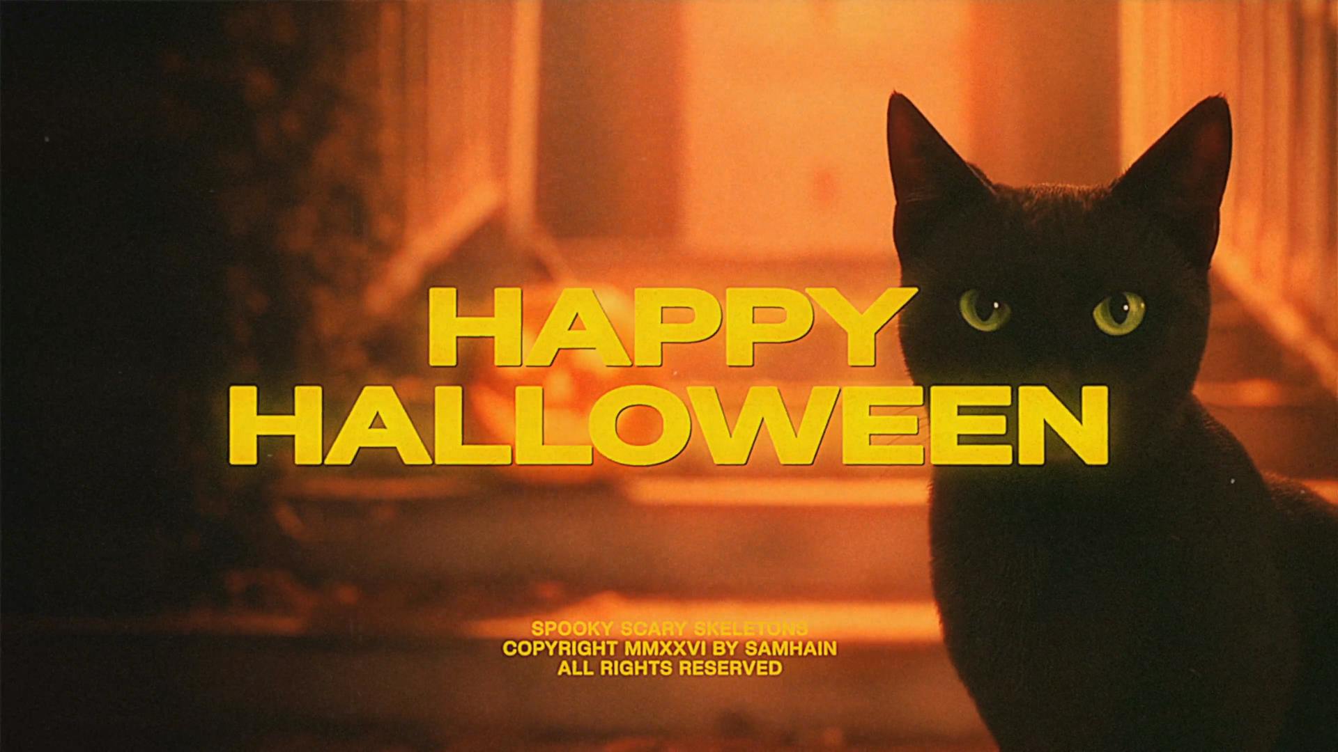 All Night Fright Titles video templates | Artlist