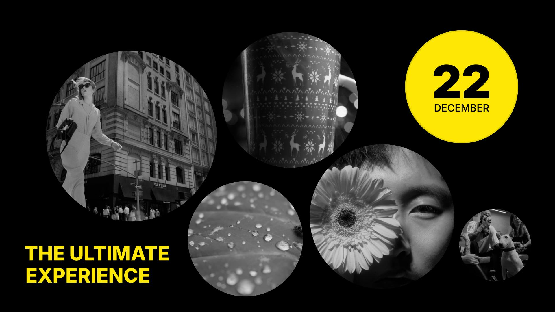 Event Intro Video Templates Artlist