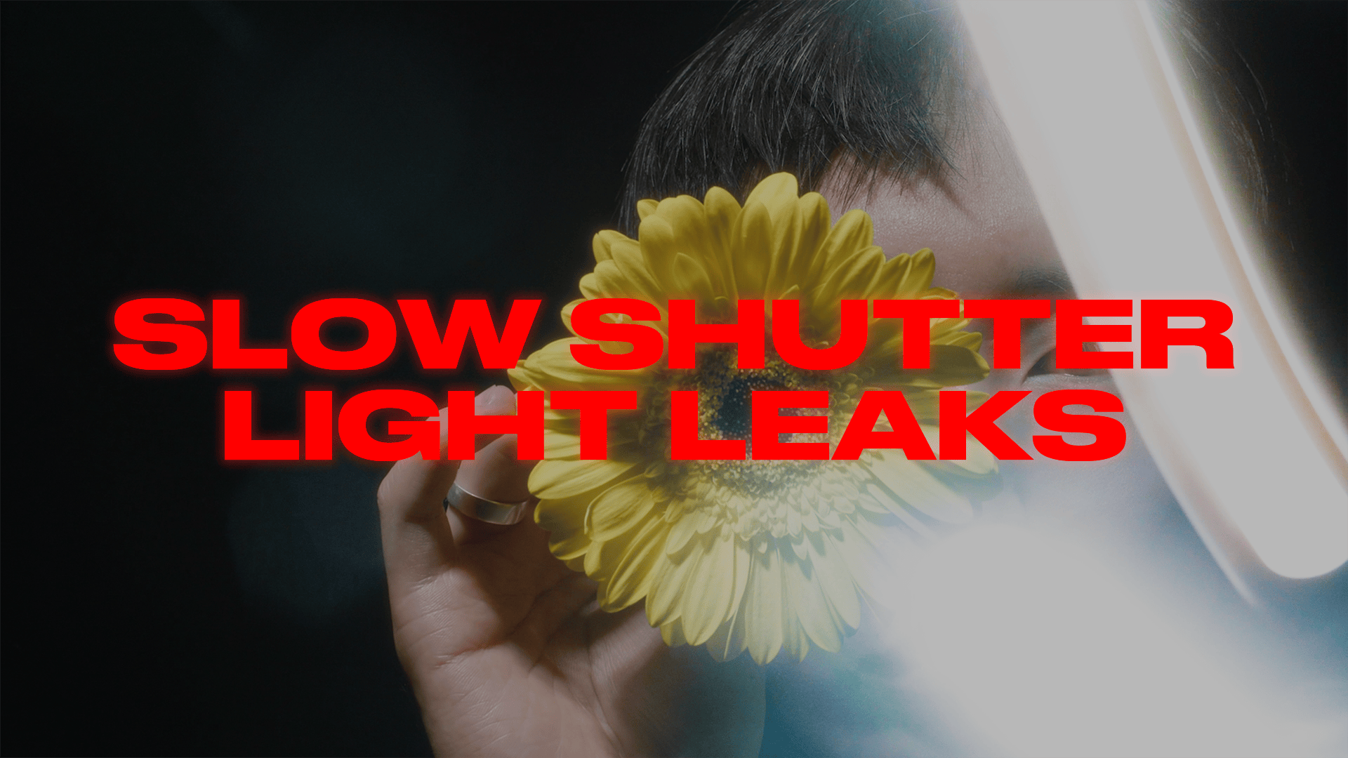 Slow Shutter Light Leaks video templates | Artlist