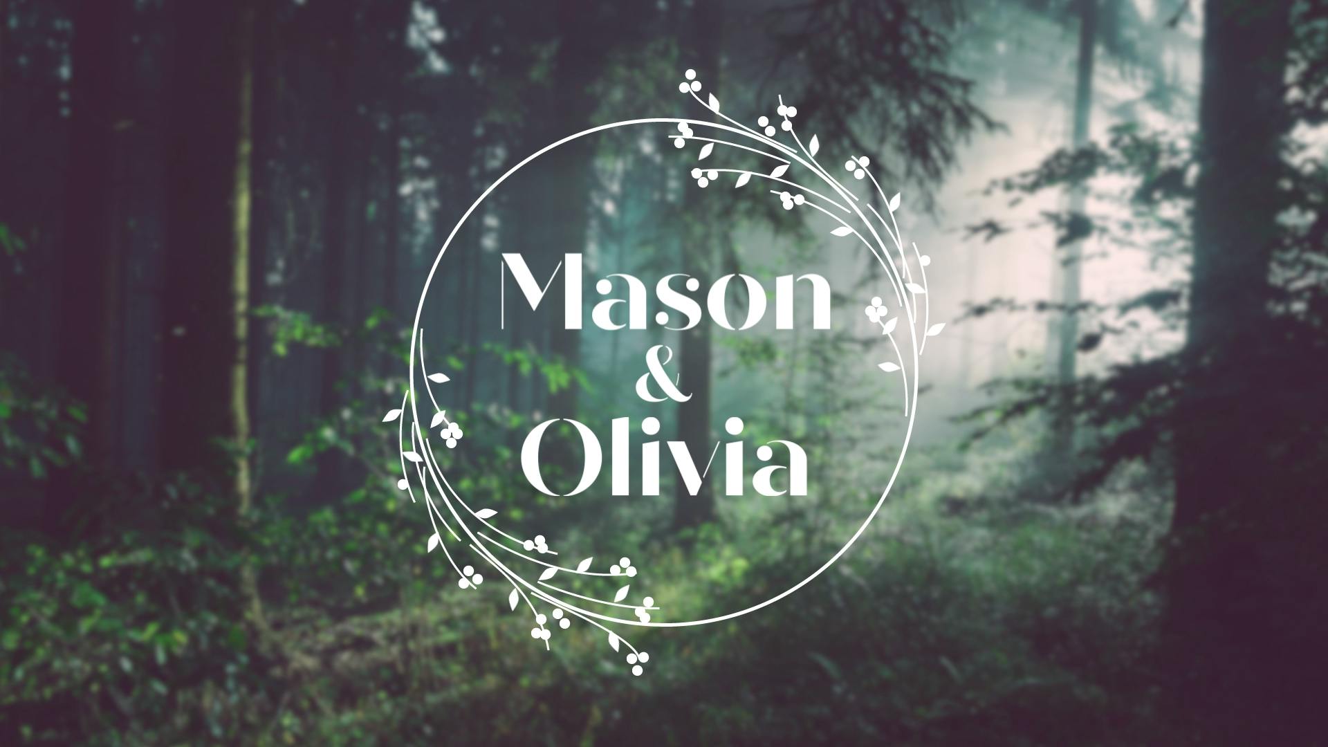 Minimal Romantic Titles video templates | Artlist
